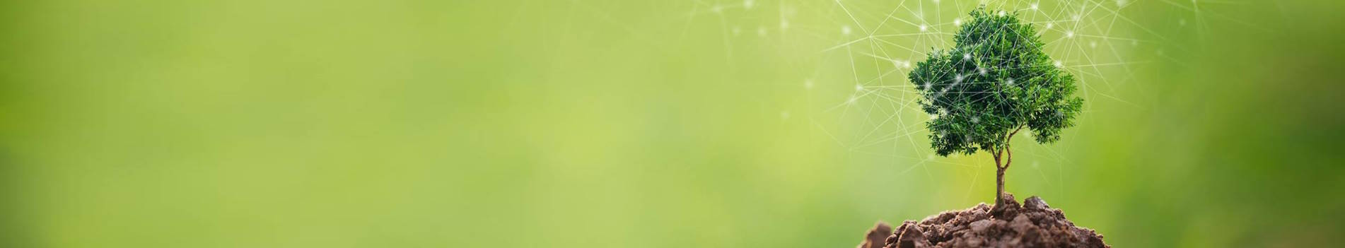 STAKEHOLDER ENGAGEMENT - AVAX GROUP