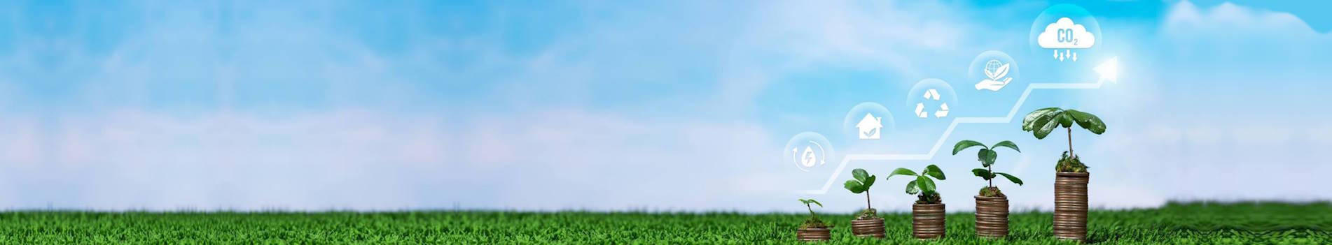 SUSTAINABLE DEVELOPMENT STRATEGY - AVAX GROUP